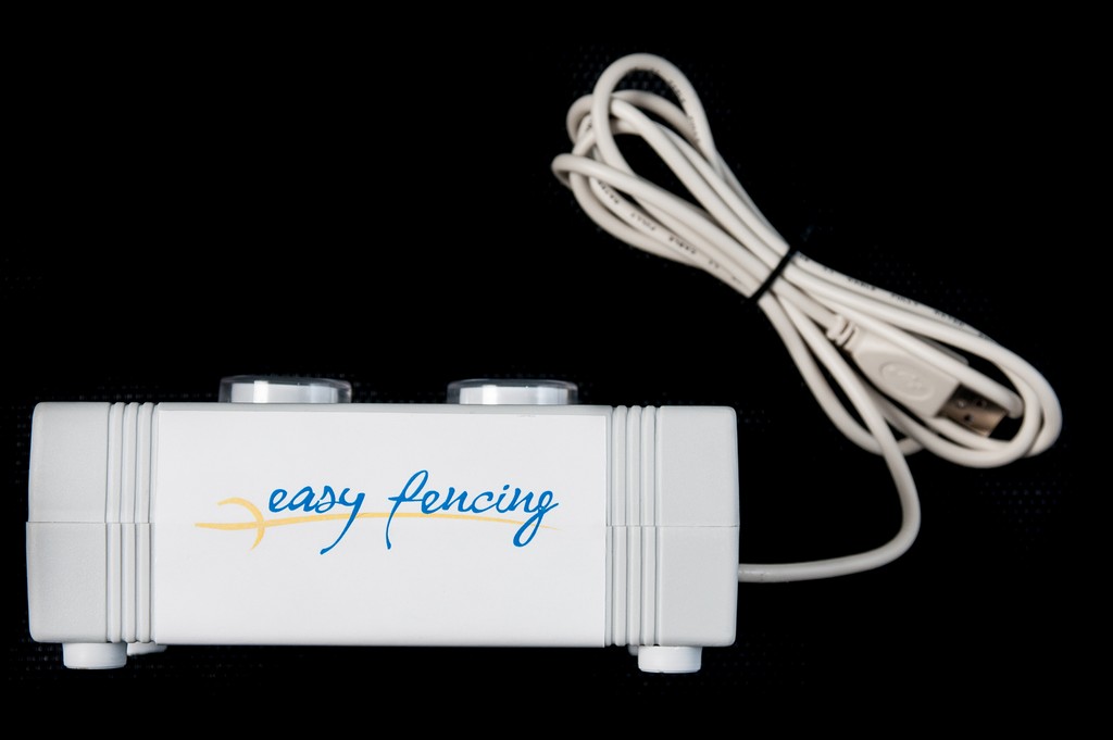 Είδη ξιφασκίας επέ - épée